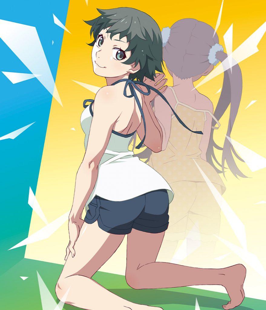 【続・終物語】オールスター勢ぞろいの復習編みたい | wnkhs.net